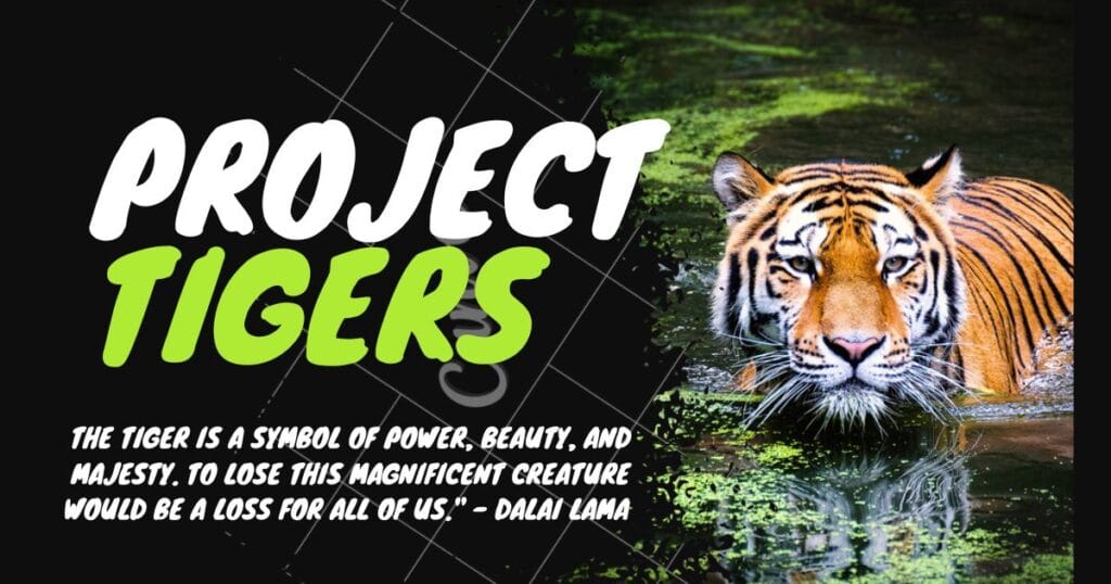 Project Tiger in India: A Comprehensive Guide to Conservation Success ...
